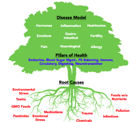 tree-disease-model_orig | Hormone Replacement | Functional Medicine ...